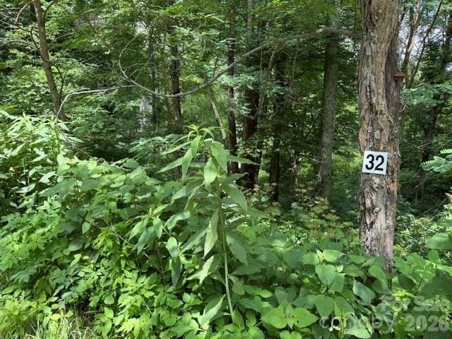 Toi Trl Lot 32, Maggie Valley, NC 28751