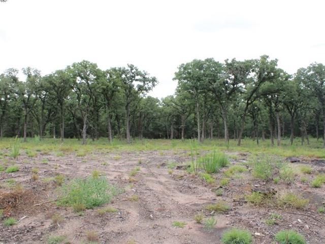 Tokio Loop, West, TX 76691