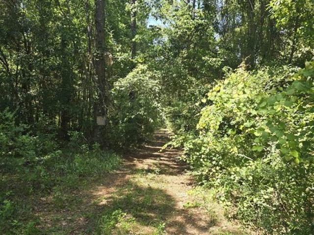 Toler Rd, Silverhill, AL 36576