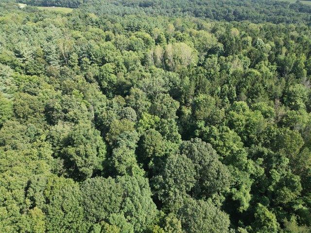 Toll Gate Rd, Somerset, OH 43783
