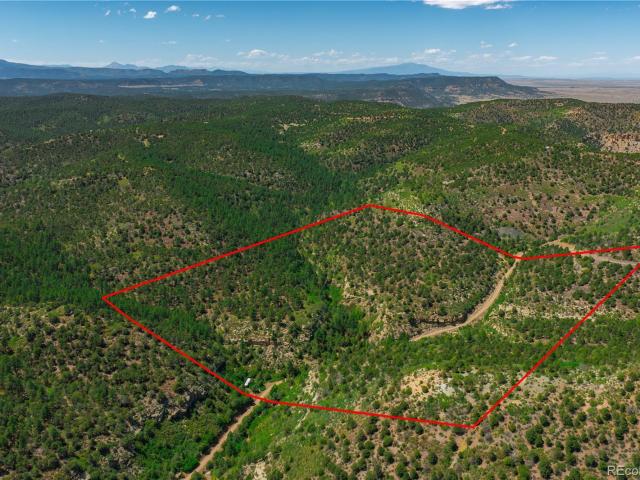 Tollerburg Road