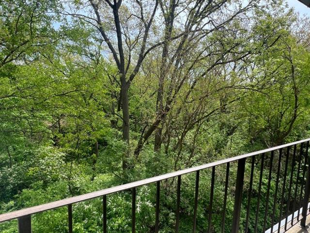 Top Floor With Seculded Tree View!