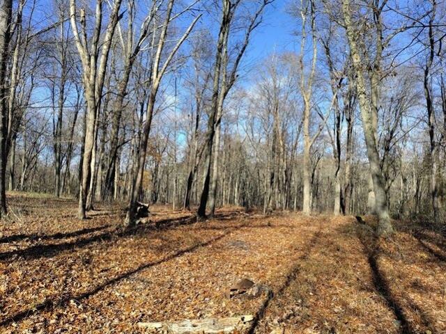 Topsfield Rd, Ipswich, Plot For Sale