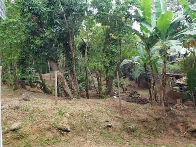 Toque Toque Grande terreno perto da mata atlântica. estuda permuta