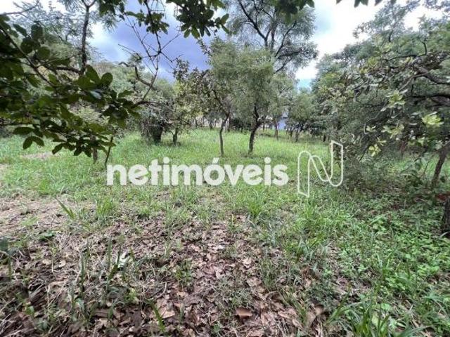 TORORÓ | JARDIM BOTÂNICO | LOTE EM CONDOMÍNIO