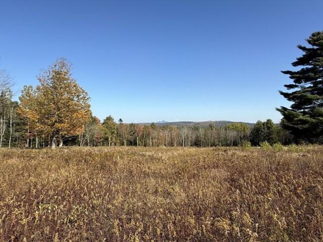 Tourtelotte Ridge Rd, Mariaville, Plot For Sale