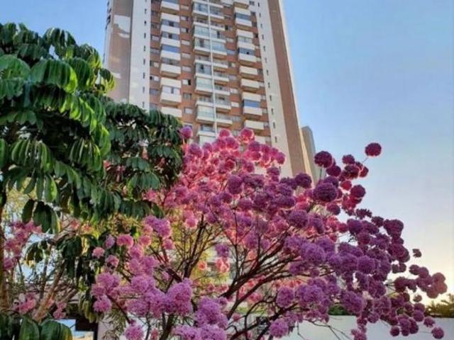 TOWER CLUB RESIDENCE QUADRA 206 ANDAR ALTO VISTA LIVRE FINANCIAMENTO