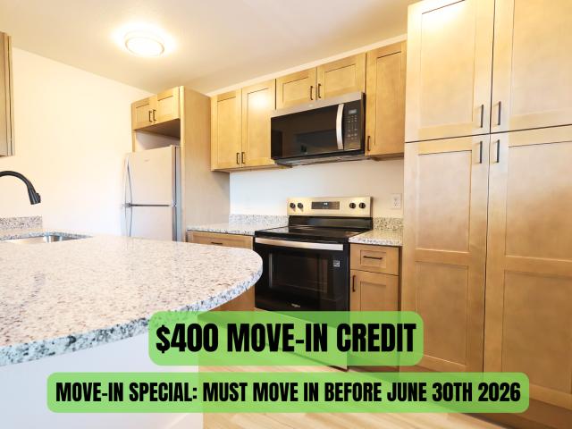 Tower Grove East Updated 1 Bedroom