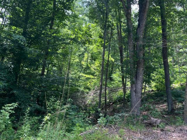 Tower Rd, Tazewell, TN 37879