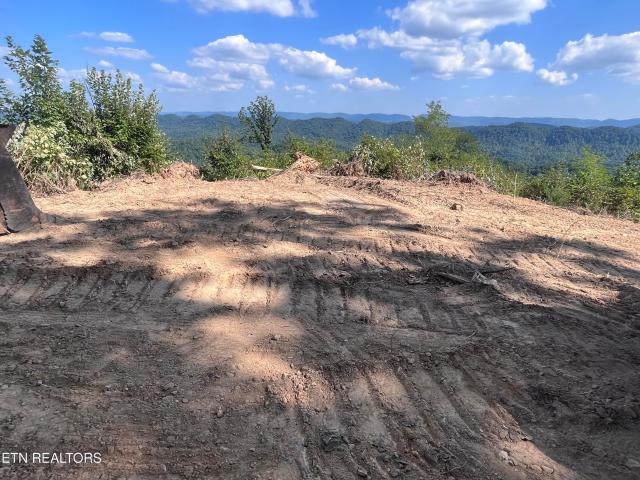 Tower Rd, Tazewell, TN 37879