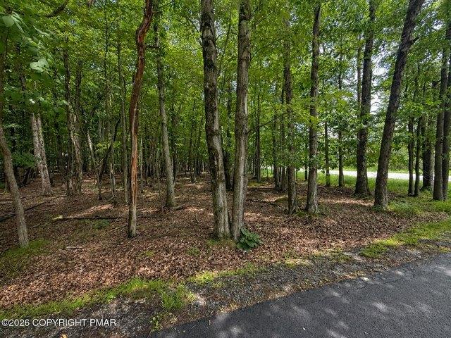 Tower Rd Lot 401, Albrightsville, PA 18210
