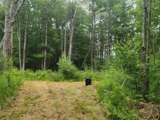 Town Farm Rd, Greenbush, Plot For Sale