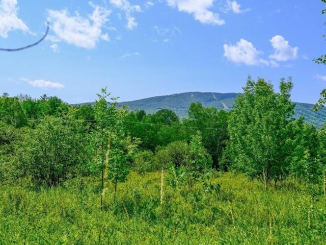 Town Farm Rd Lot,ludlow, Plot For Sale