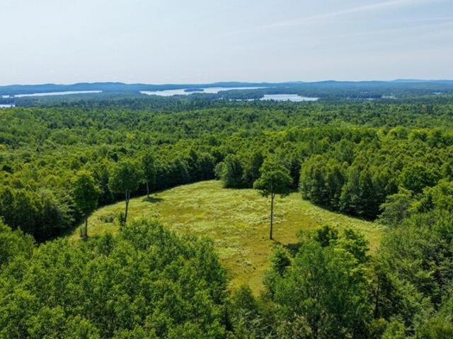 Town Hall Rd, Lakeville, Plot For Sale
