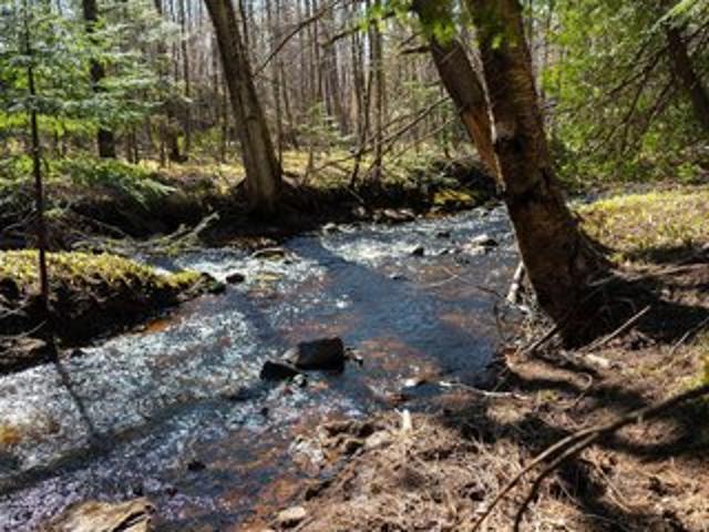 Town Hall Rd, Skandia, MI 49855
