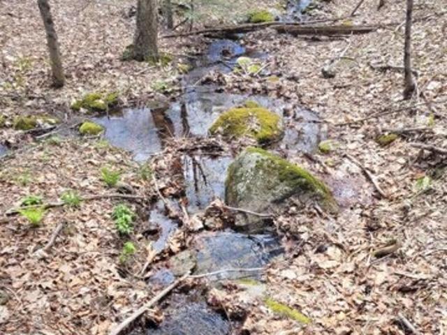 Town Hill Rd Lot,sandisfield, Plot For Sale