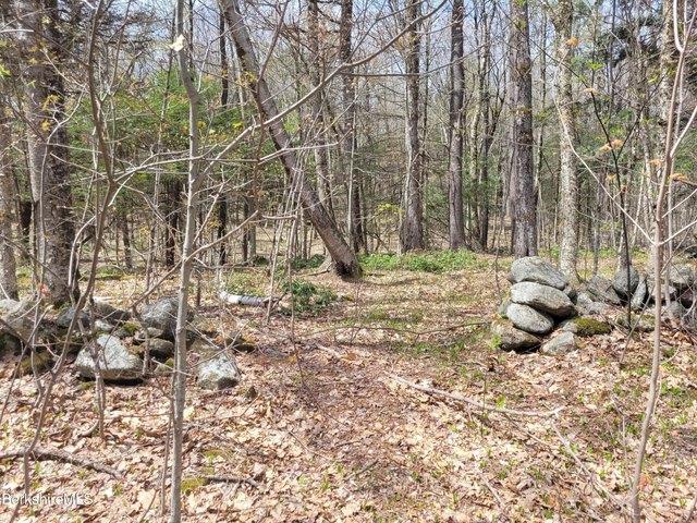 Town Hill Rd Lot 3, Sandisfield, MA 01255