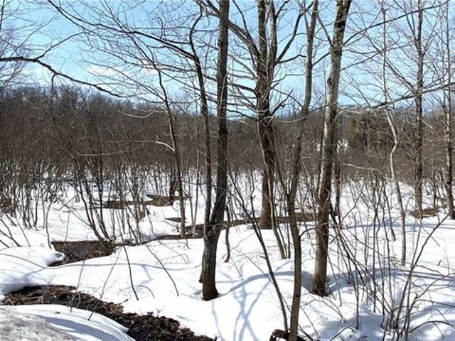Town Line Rd, Lorraine, NY 13659