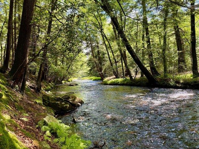 Town Park Rd, Monticello, NY 12701