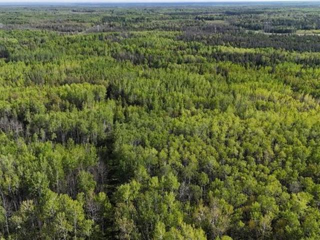 Town Rd # 118, Birchdale, MN 56629