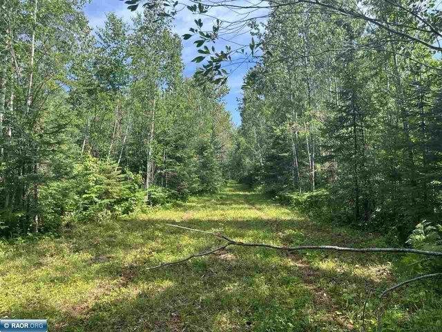 Town Rd # 118, Birchdale, MN 56629