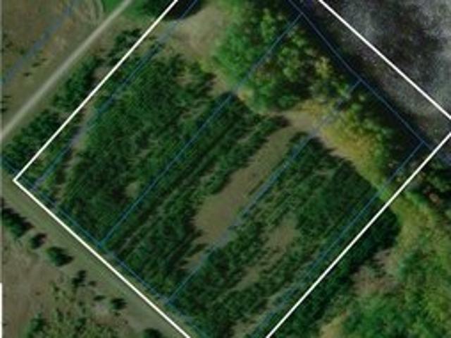 Town Rd # 389, Baudette, MN 56623