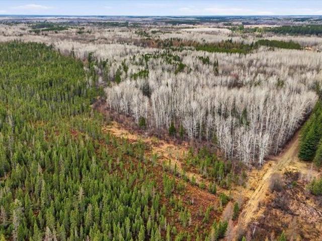 Town Rd # 55, Big Falls, MN 56627