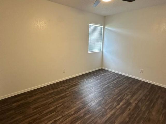 Townhollow Apartments 1 Bedroom Apartment for Rent at 1200 Treadwell St, Austin, TX 78704 Zilker