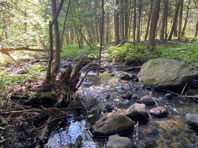 Townline Rd, Rose City, MI 48654