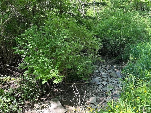 Townline Road