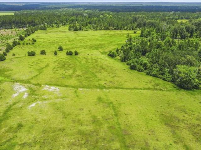 Towns Cemetery Rd, Livingston, TX 77351