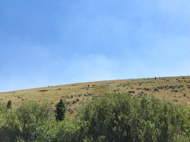 Townsend, MT 59644