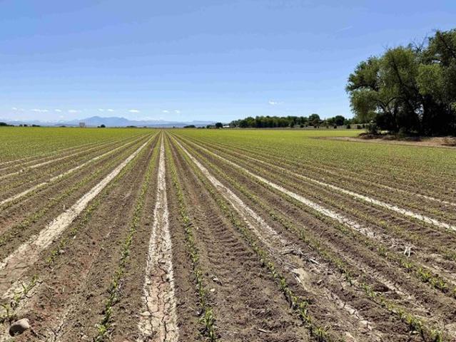 Townsend Rd, Delta, CO 81416