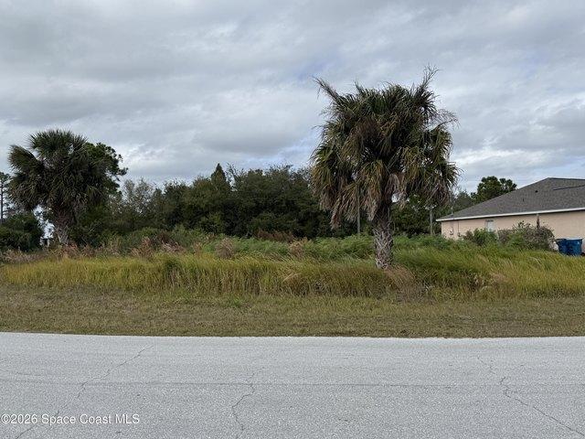Townsene Rd SE, Palm Bay, FL 32909