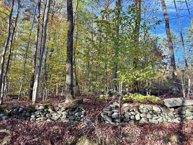 Townshend Dam Rd, Wardsboro, Plot For Sale