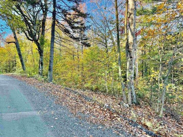 Townshend Dam Rd, Wardsboro, Plot For Sale