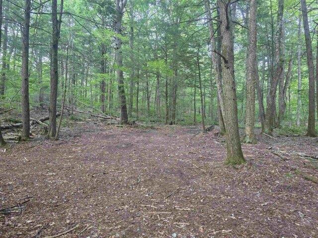 Townshend VT 05359 104608340