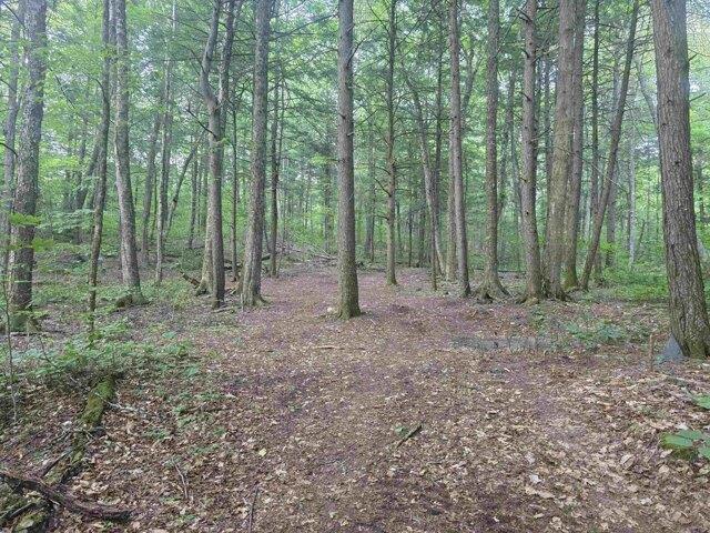 Townshend VT 05359 105141177