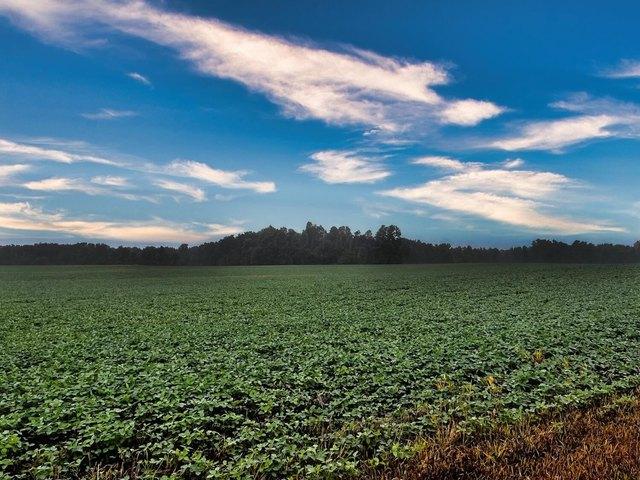 Township Rd # 114, Mount Gilead, OH 43338