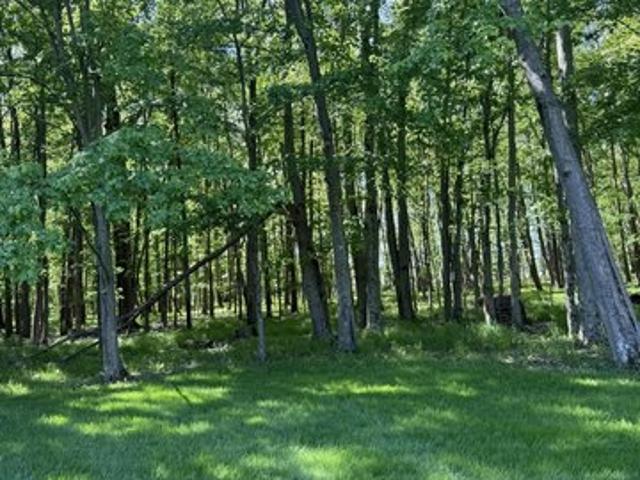 Township Rd # 227, Findlay, OH 45840