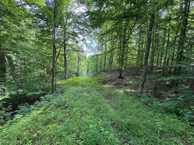 Township Rd # 289, Corning, OH 43730