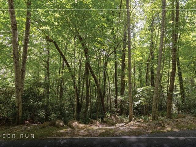 Toxaway Ln Lot 54, Sapphire, NC 28774