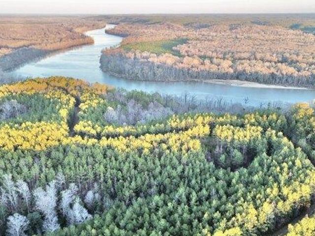 Toxey AL 36921 LS92766579