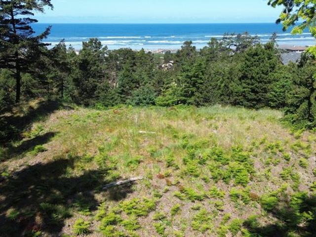 Tl131118bb0270 Nw Lotus Lake Dr, Waldport, OR 97394