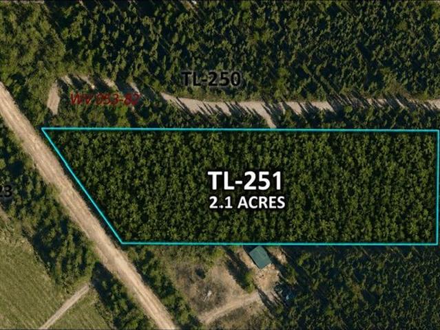 Tl251 Old Valdez Trl Lot TL251, Salcha, AK 99714