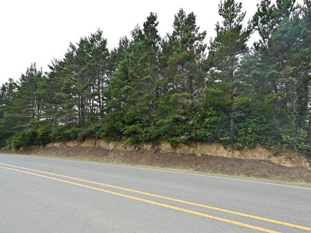 Tl2200 Nw Seal Rock St, Seal Rock, OR 97376