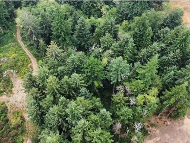 Tl 400 erhart rd