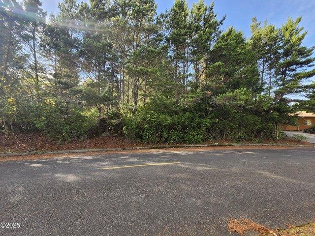 Tl 10200 Sw Chad Dr, Waldport, OR 97394
