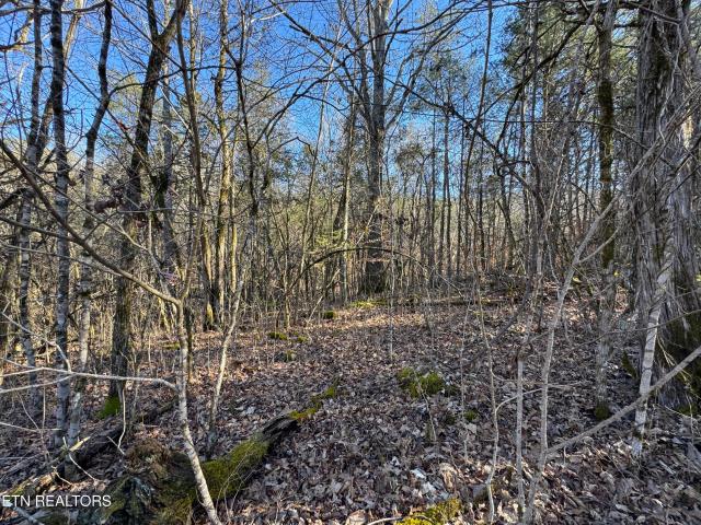 TN 131, Treadway, TN 37881