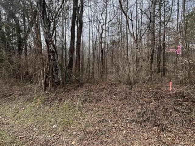 Tn 304 Lot 7, Decatur, TN 37322